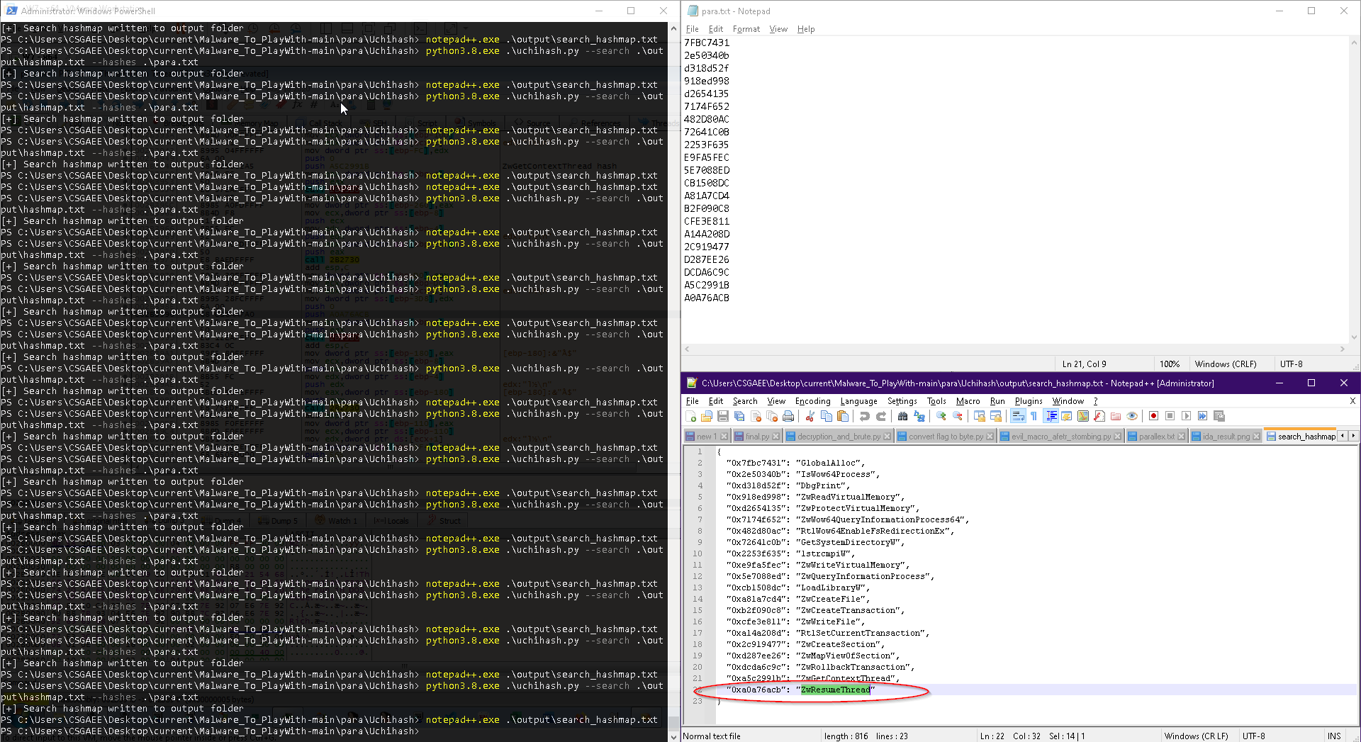 Parallax Rat Loader | 0xCSGAEE